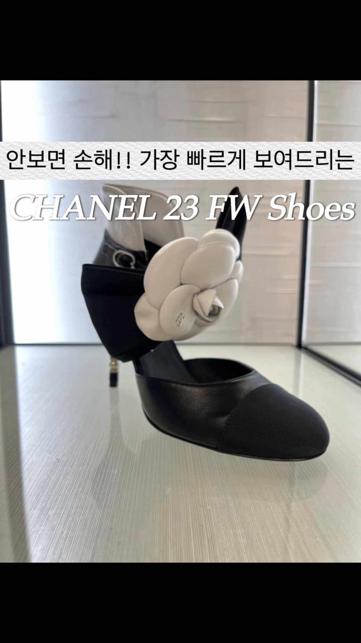 샤넬 23FW 신상 슈즈 모음전! : 네이버 블로그