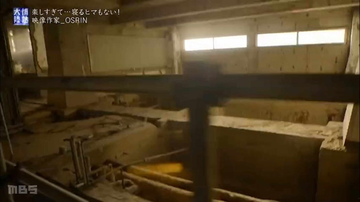 MBS 정열대륙 OSRIN (PERIMETRON) 번역 : 네이버 블로그