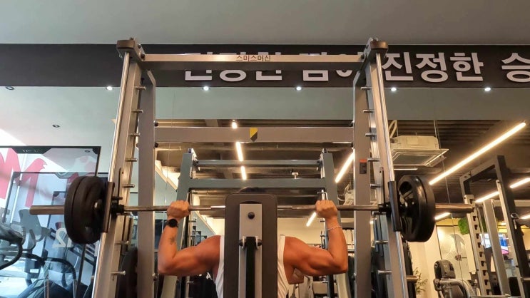 속초헬스몸존휘트니스 비하인드 넥 프레스덤벨 사이드 레터럴 레이즈업라이트 로우어깨 루틴 네이버 블로그