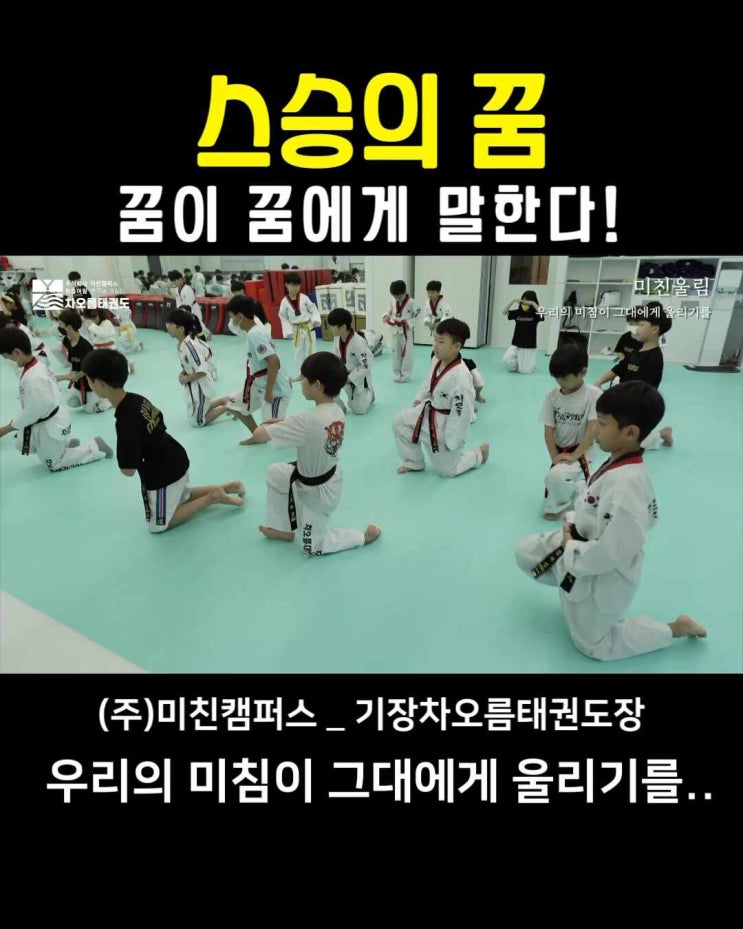 도장에서뭘 배우나요 차오름태권도정기승급심사심사는지루하다꿈과꿈의만남일광태권도 네이버 블로그
