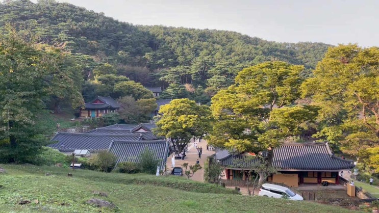 강화도 애견동반 가능한 1200년된 절입장료 무료 주차료 유료 전등사 죽림다원 네이버 블로그