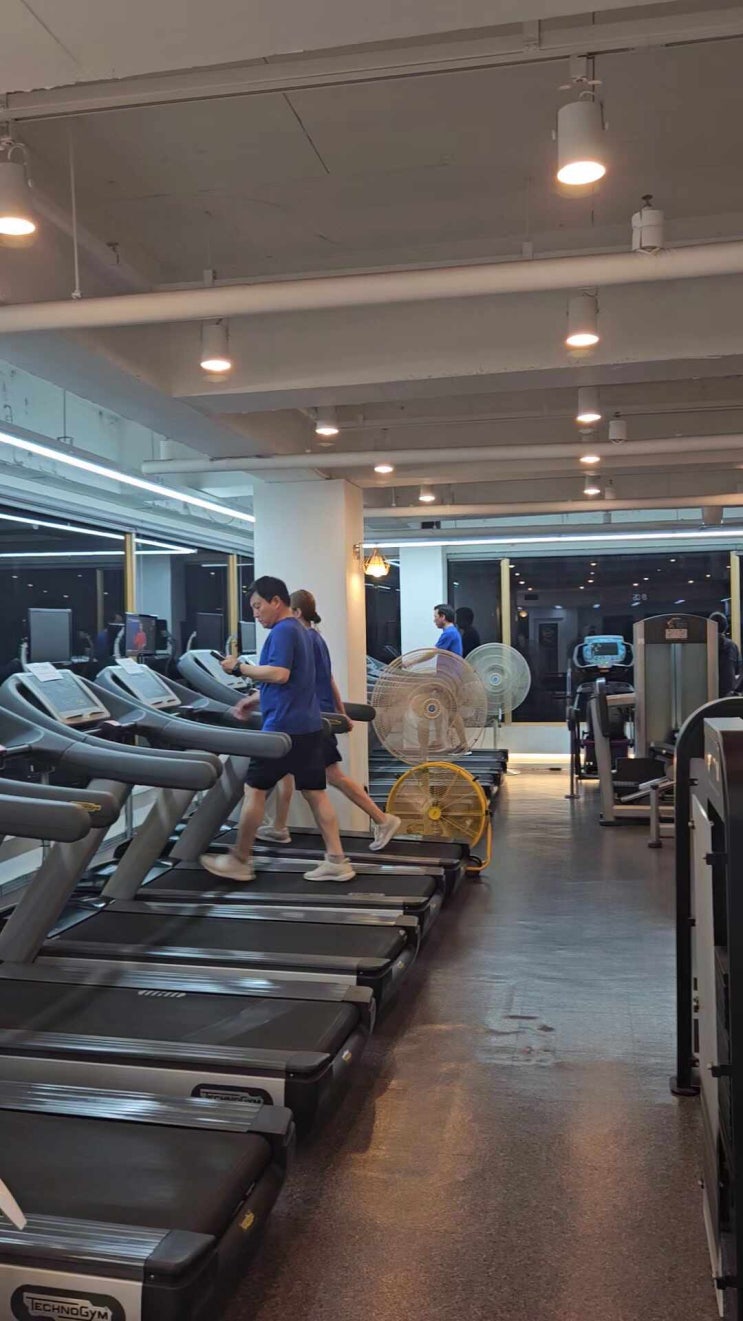 헬스장이 처음인 헬린이들을 위한 꿀팁 상동pt부천상동헬스장상동피티 상동내주변헬스장 네이버 블로그