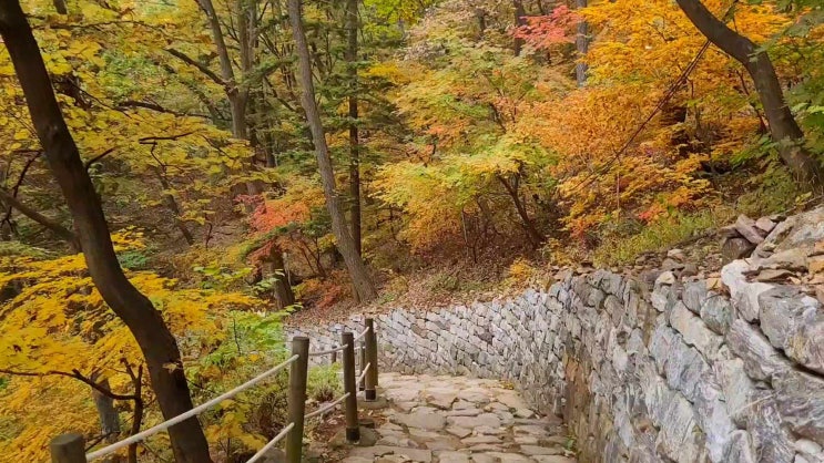 남양주 수종사 경기도 절 사찰 가볼만한곳 운길산 수종사 은행나무 단풍 주차입장료 네이버 블로그