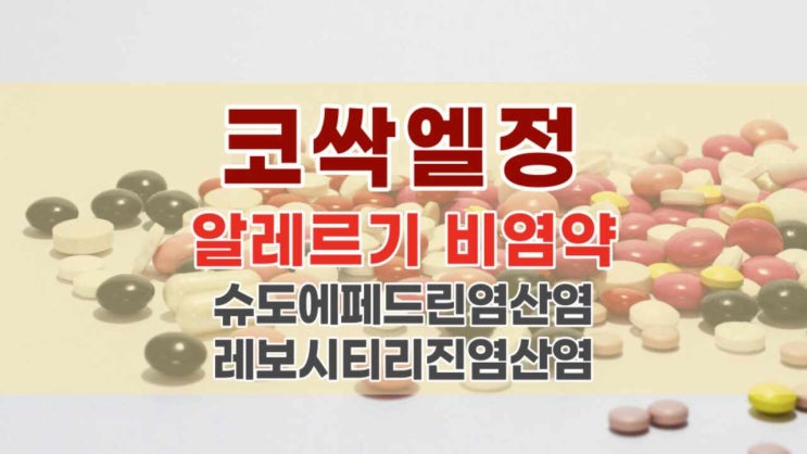 코싹엘정 슈도에페드린 슈도에페드린염산염 슈다페드정 레보세티리진 레보세티리진 염산염 씨잘 정 씨잘액 코싹엘