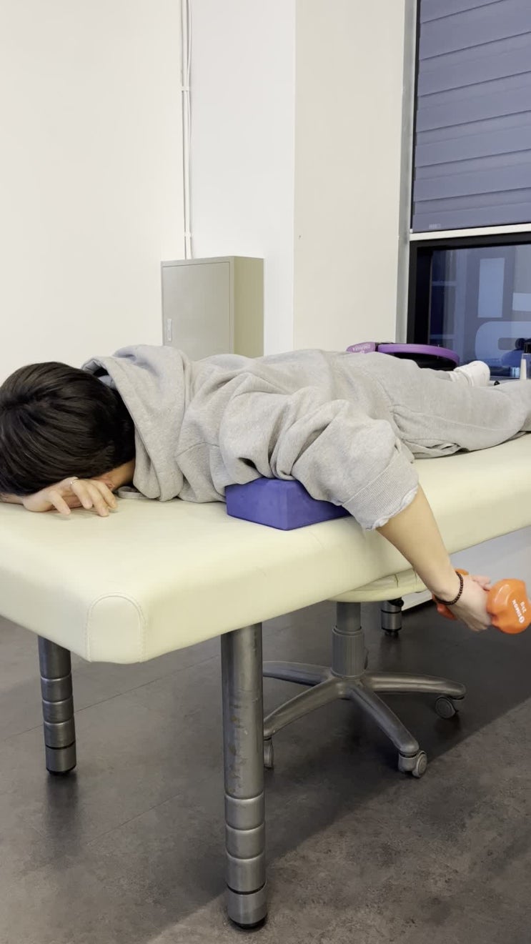 연구 결과로 가장 좋은 회전근개 운동어깨 재활운동회전근개어깨통증운동 네이버 블로그
