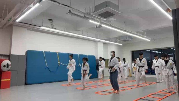 양산 청소년 And 성인 태권도 흰띠부터 검은띠까지 초보자와 유단자 모두 함께 운동하기💪 네이버 블로그