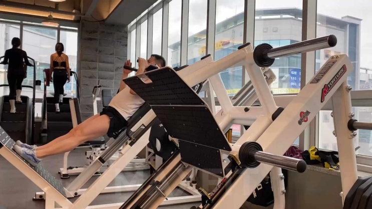 수완지구pt 40대남성자기관리 벌크업 웨이트트레이닝 Maxfit 남자얇은 팔다리체형에서 두껍고 단단한 허벅지 팔뚝만들기 헬스