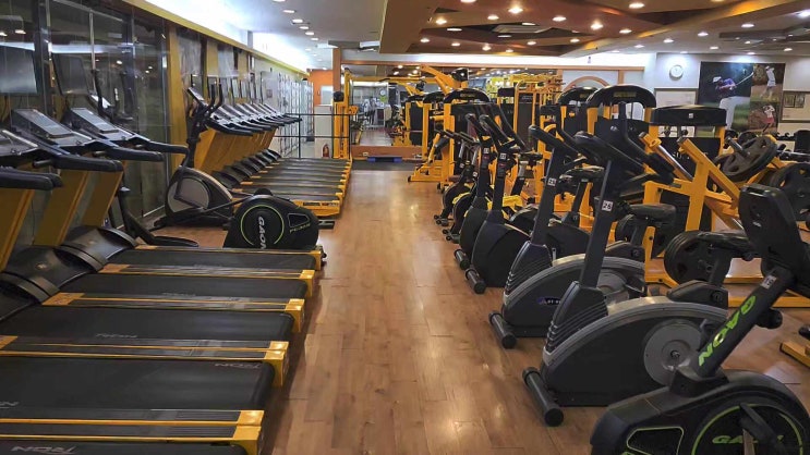 가락동 오금동 오금역 Pt 헬스장 골프연습장 스타칼리휘트니스 선착순 36명 이벤트 네이버 블로그