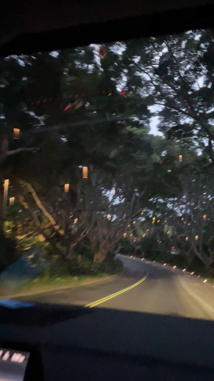 2023년 12월20~23일 3번째 마우이섬 방문 : 네이버 블로그