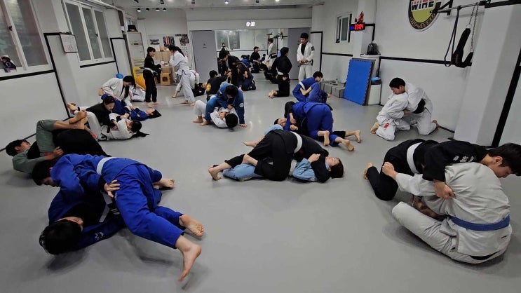 강동구 주짓수 초이바 배우기 And Ibjjf 주요 룰개정 체크 강동구 성내동 둔촌동 둔촌동역 길동 천호동 고덕동 방이동