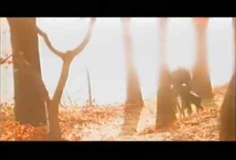 KBS SKY DRAMA(현 KBS 드라마) ID + 낭랑 18세 OP (2004년 1월) 다른 버전 : 네이버 블로그