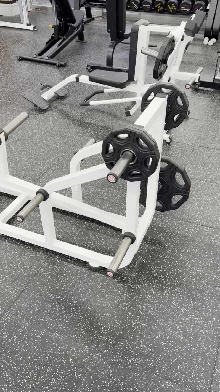합성동 헬스장초보자도 멋진 등 만들기 쉬운 티바로우 머신 입고 네이버 블로그