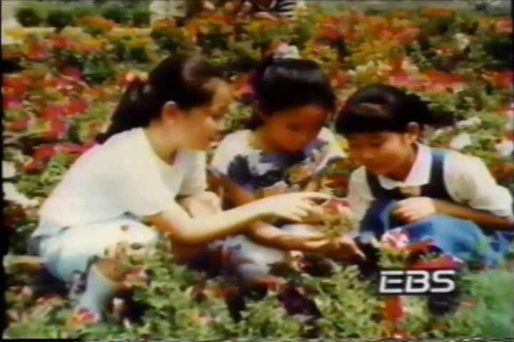 EBS(현 EBS1) ID - 꽃밭의 아이들 (1990년) : 네이버 블로그