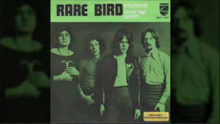 Sympathy/ Rare Bird/ 연민의 정/ 동정/ 레어 버드/ 희귀한 새/ Ilana Avital/ 일라나 아비탈 ...