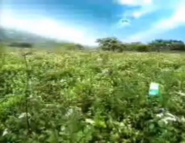 KBS1 방송종료영상 + 애국가 1절/정파 영상 (2007년) : 네이버 블로그