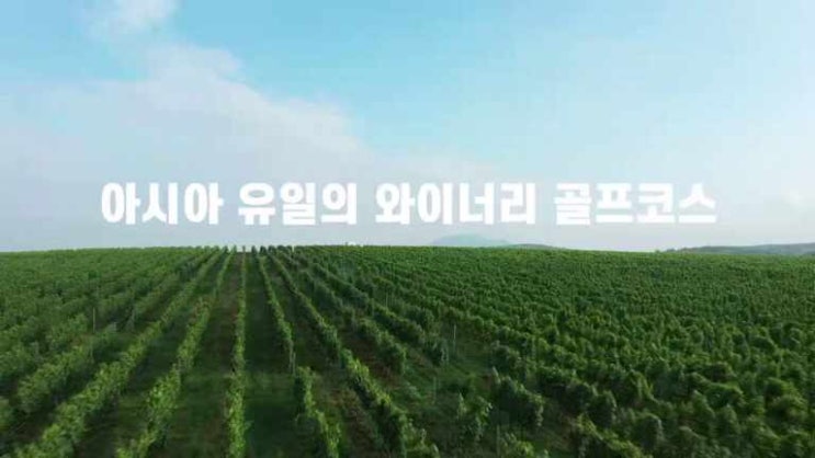 연태 군정cc 아시아 유일 와이너리 골프and리조트 3월~4월특가 399000~ 중국골프여행 2024년 네이버 블로그