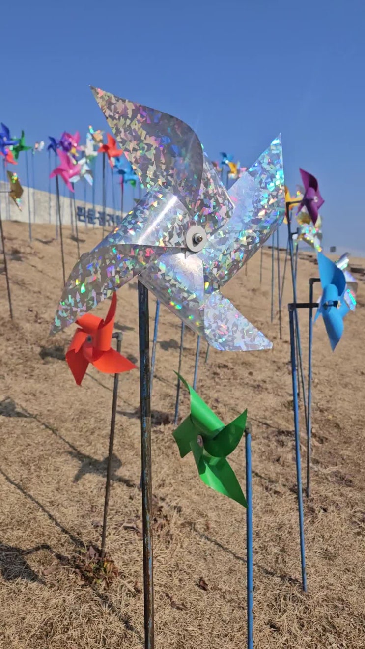 파주 임진각 평화누리공원 사진 찍기 좋은 바람의 언덕 파주 Dmz 투어 네이버 블로그