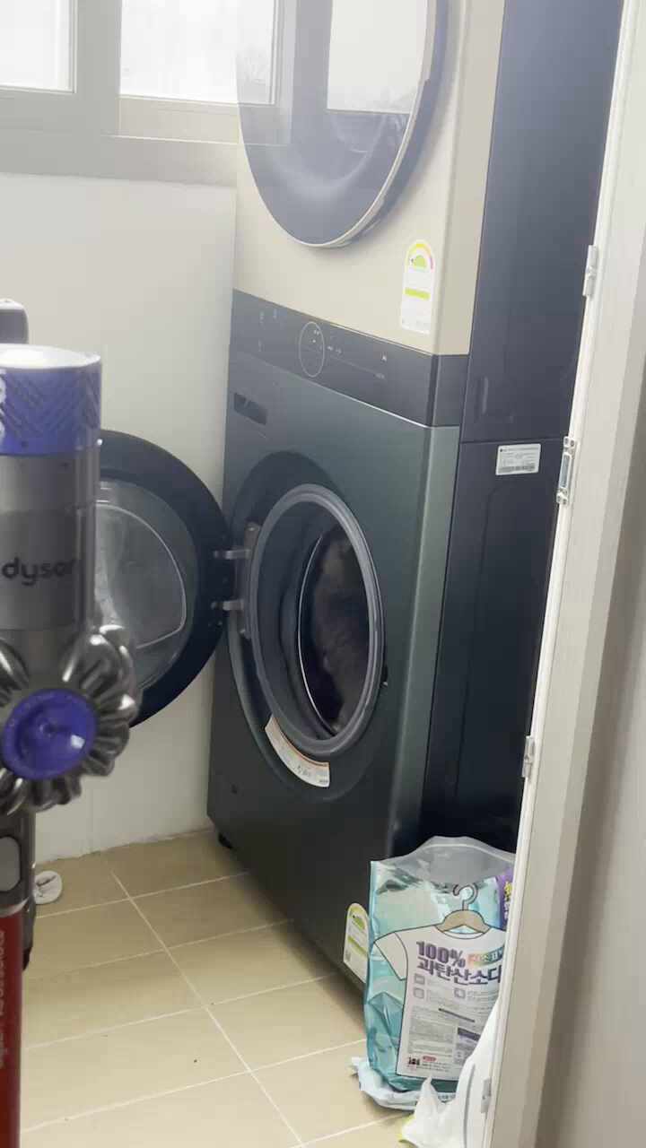 먼치킨 고양이 캣휠 세탁기 캣휠 ㅋㅋㅋ 돌아버림 집사가 가난한줄 아는가봄 : 네이버 블로그