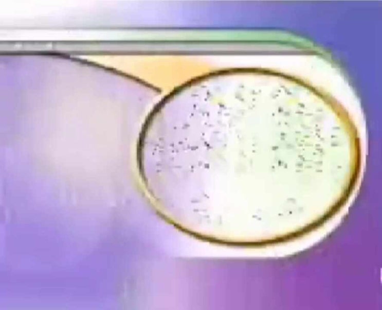 KBS2 ID - 채채퐁 김치퐁 (2003년) : 네이버 블로그