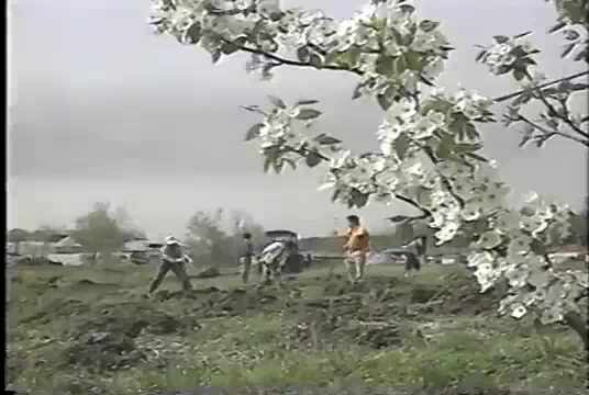 KBS1 대추나무 사랑걸렸네 OP (1997년) : 네이버 블로그