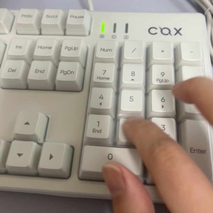 콕스 CK20TH Century 유선 키보드 내돈내산 후기 : 네이버 블로그