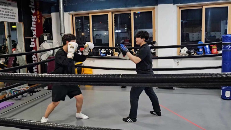 송파복싱송파복싱클럽 맞춤형 개인 지도 아이부터 성인까지 키즈복싱 다이어트복싱 정통복싱 송파역복싱 송파동복싱 송파복싱