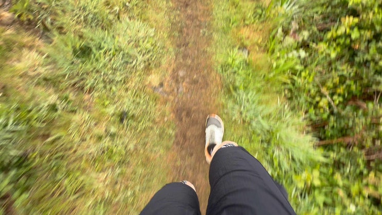 포르투갈 마데이라 MIUT 트레일러닝 대회 추억 영상 : 네이버 블로그