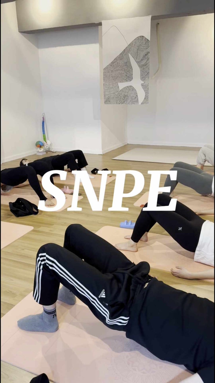 경주 SNPE 지나얼라인 | 그룹 레슨 일기 | 바른자세 척추운동 : 네이버 블로그