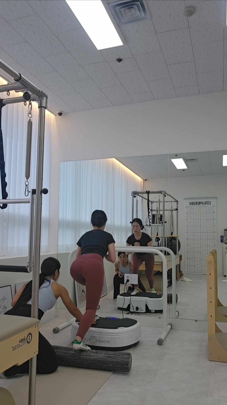 구리 인창 필라테스 바이브온필라테스 세심한 11레슨구리시 파워플레이트 유일 보유 네이버 블로그