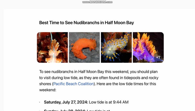 chat gpt 뉴 검색엔진 Search gpt 오픈, wait list 등록 : 네이버 블로그