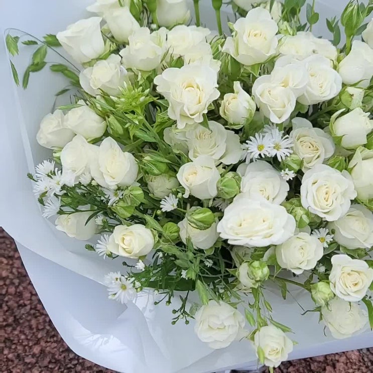 제주중문꽃집 아네모네 서귀포꽃집중문꽃집프로포즈꽃다발온리로즈장미꽃다발제주여행여자친구꽃선물중문관광단지꽃집꽃다발예약