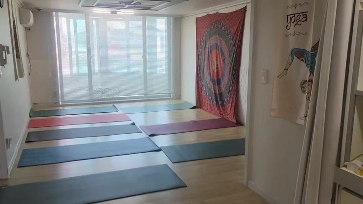 청주요가/soo yoga수련실안내 /전문소그룹반/개인레슨 /교정요가/골반교정요가 /재활요가/아쉬탕가빈야사 /예약제요가/내덕동요가 ...