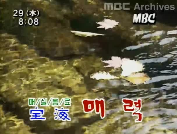MBC id영상 1993년 9월 ??일 가을 계곡 : 네이버 블로그