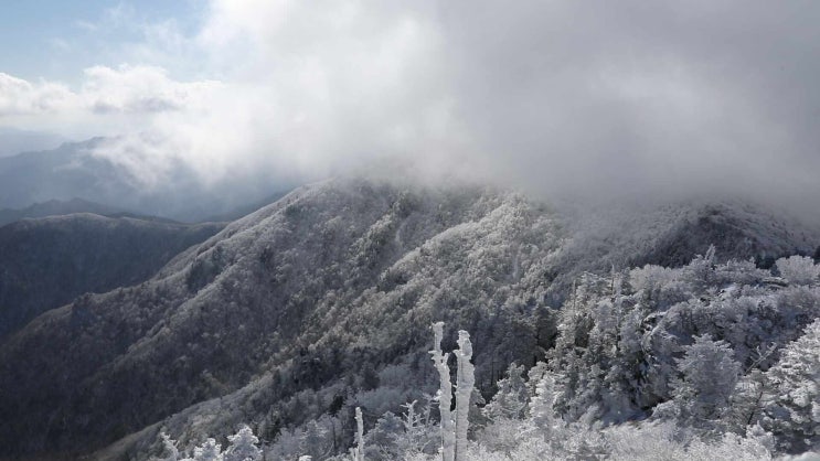 겨울 지리산 제석봉에서 내 인생 최고의 설경을 만났다. : 네이버 블로그