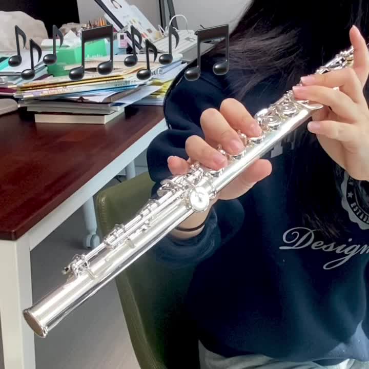 인천 플룻송도 플룻플루트 레슨 전문 Sunny플루트교실샤미나데 플루트 협주곡연습용 중급용 악기 종류 산쿄 에튀드연수구 구월동 성인 직장인 주부 초등 중등 고등학생