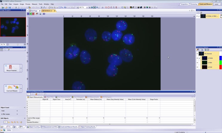 cellSens : [Count and measure] DAPI 핵에 몇개 점이 있는지 : 네이버 블로그