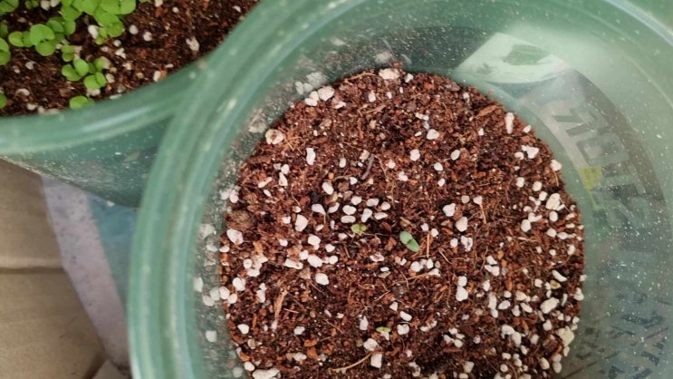 [산골마을 일기] Breakfast in Inje : 네이버 블로그