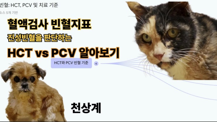 혈액 검사 지표 HCT와 PCV 분석 및 빈혈 진단 세모고강 가이드 라인 : 네이버 블로그