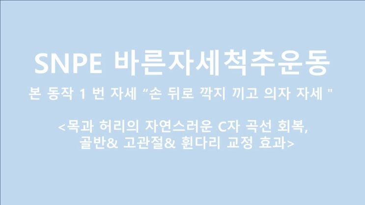 SNPE 운동 영상 : 네이버 블로그