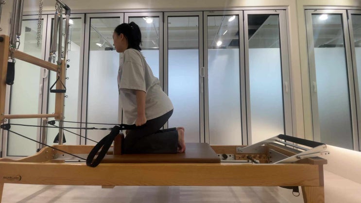 필라테스 동작_PILATES EXERCISE_REFORMER_KNEELING TRICEPS : 네이버 블로그