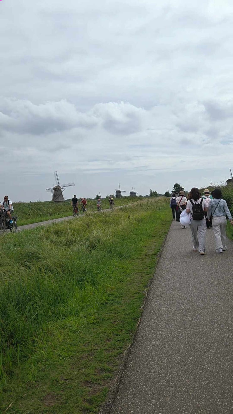 네덜란드의 풍차와 수로 역사를 가장 잘 보존한 킨더다이크kinderdijk 풍차 마을유네스코 세계문화유산의 바람 속으로 스며들다 네이버 블로그