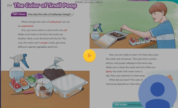 The color of snail poop : 네이버 블로그
