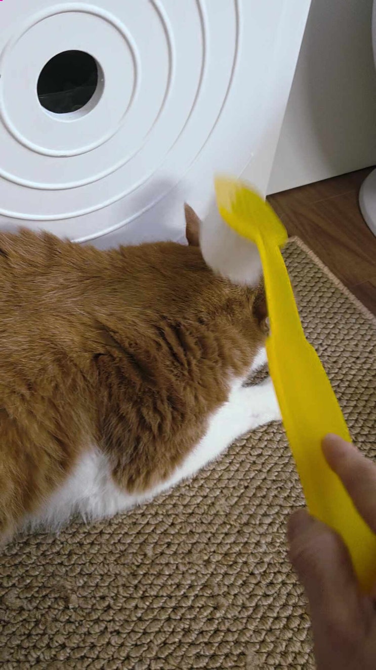 우리 친해졌어요~~~ : 네이버 블로그