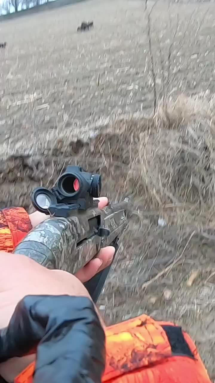 약혐)총맞고 쓰러지는 멧돼지 : 네이버 블로그