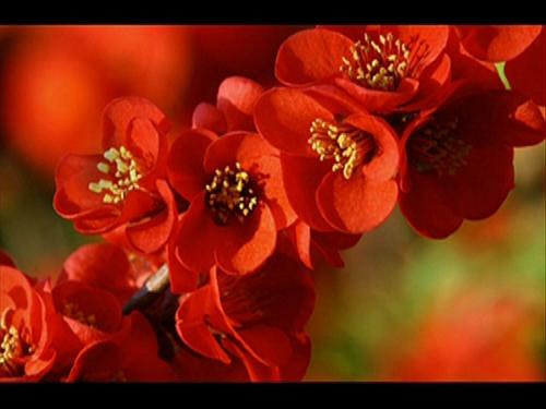 동영상 : 네이버 블로그