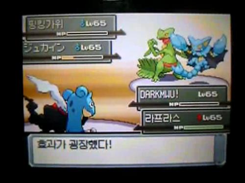 [NDS] 2대2 더블배틀 (PT) : 네이버 블로그