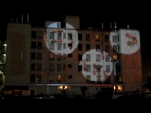 옥외광고의 진화를 경험하다! 3D mapping projection을 이용한 놀라운 살충제 옥외광고 - Black Flag(미국 ...