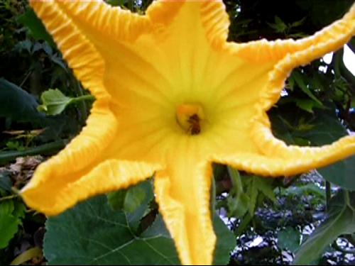 2010년 8월 6일 오전 9시 46분에 저장한 글입니다. : 네이버 블로그