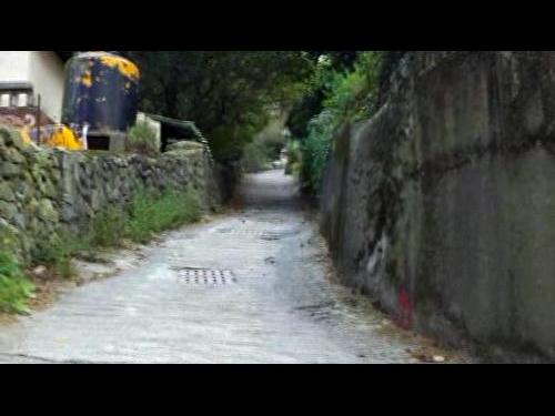 [코닥 zx1]봉래산 올라가는 길 : 네이버 블로그