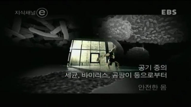 [바디랭귀지 동영상] EBS 지식채널e " 조용한 싸움 " : 네이버 블로그